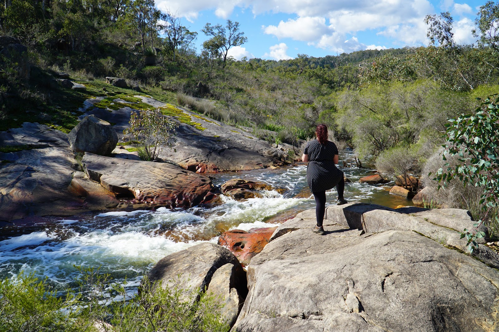 FR Berry Walk Trail (FR Berry Reserve) ~ The Long Way's Better