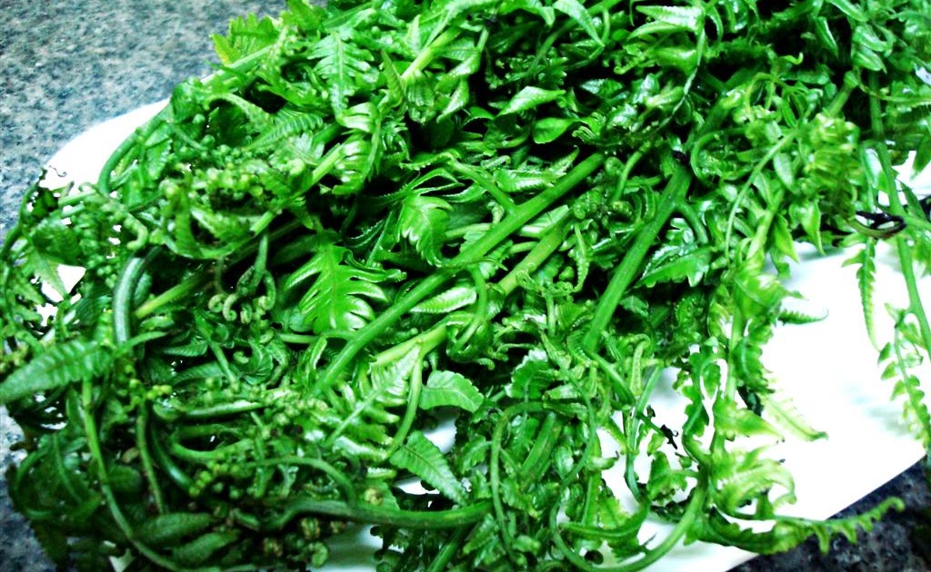 my tablescapes: Ensaladang Pako (fiddlehead fern salad)