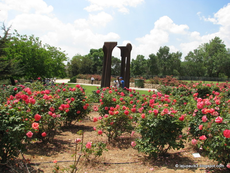 THROUGH THE LAND OF ISRAEL III: 'The Wohl Rose Park' or 'Gan Wohl L ...
