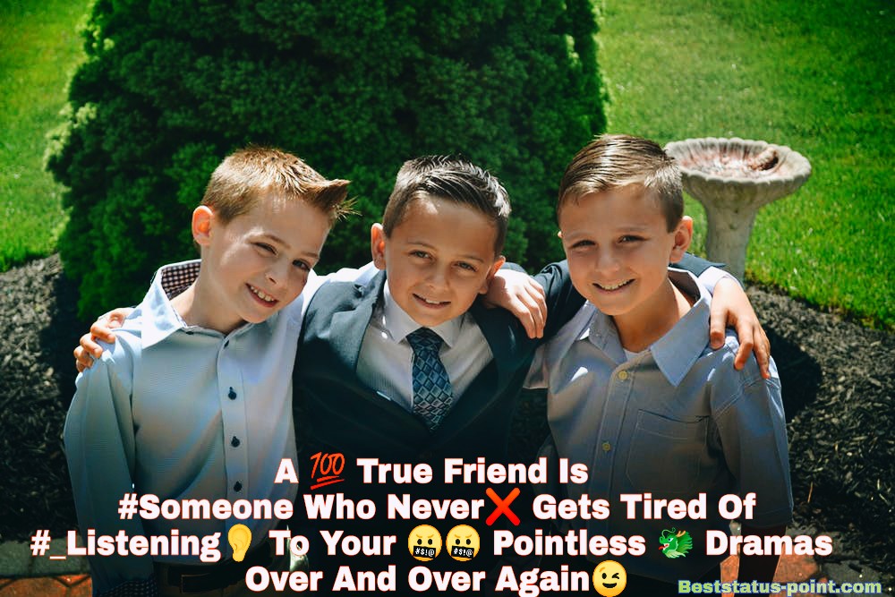 [971+] Best Dosti Status (TOP) Yari, Friendship DP, Bio, Quotes, Wishes ...