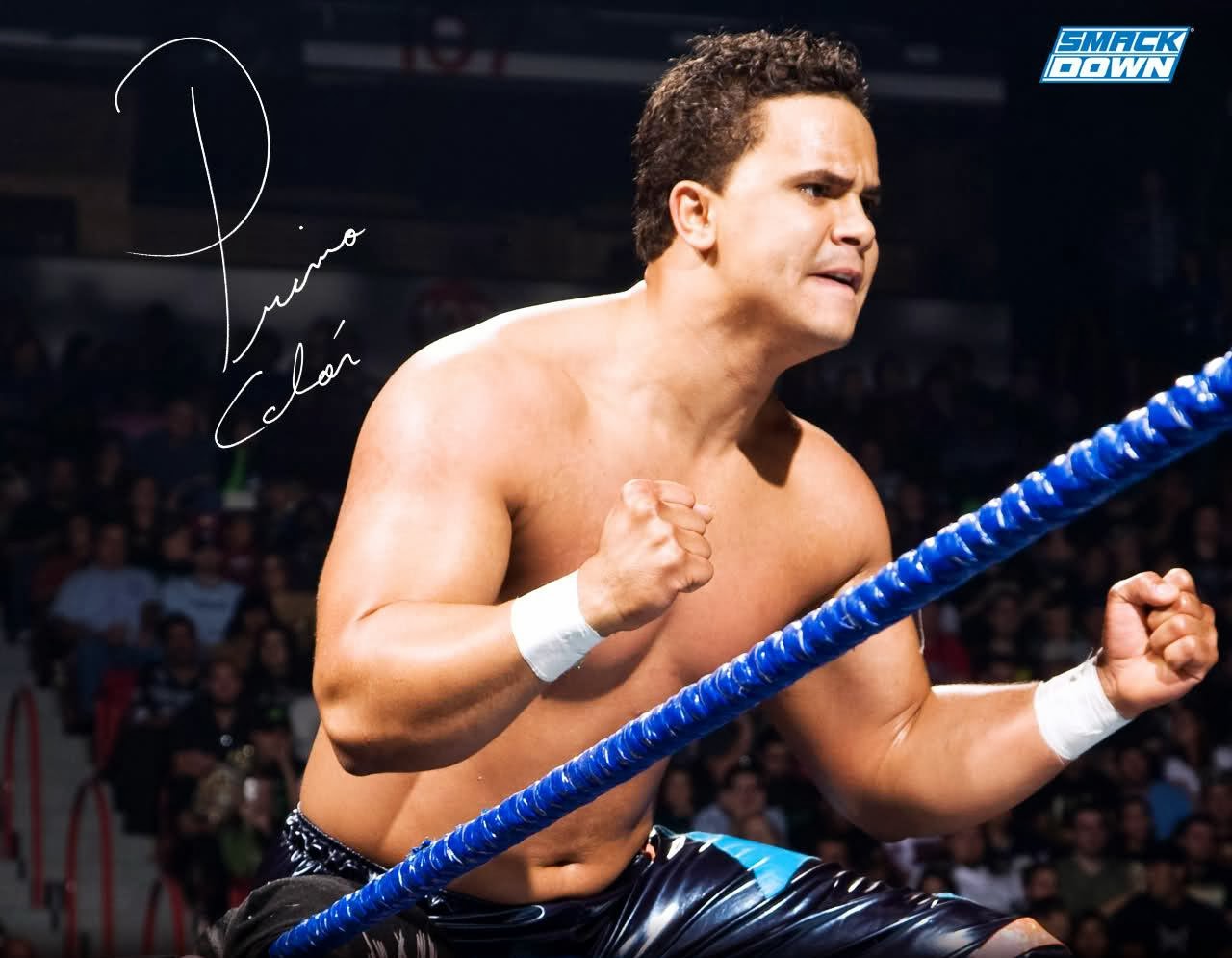 Primo Colon Hd Wallpapers Free Download