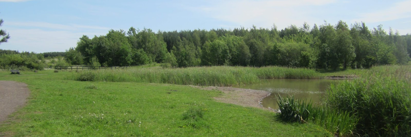 Walking The Peak: Edlington Pit Wood