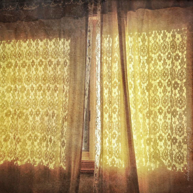 The window as a metaphor ~ Sweetpea Path