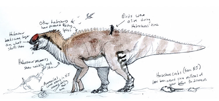 Prehistoric Beast of the Week: Reconstructing Hadrosaurus for the ...