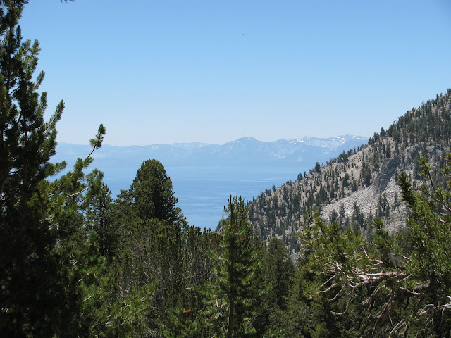 Exploring the American West: Mt. Rose Wilderness Loop hike July 9, 2012