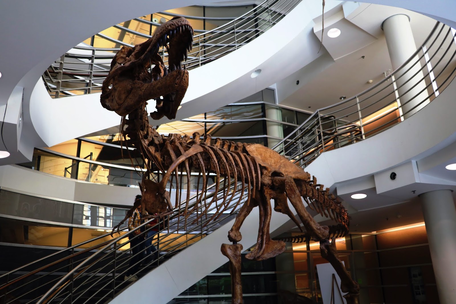 The Shipra Travel Diaries: San Francisco, California | The Shipra Diaries