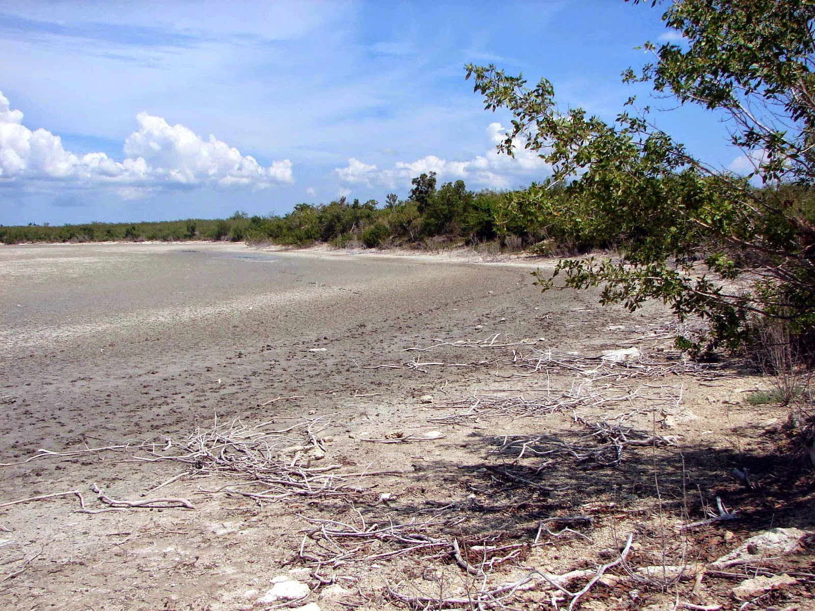 ALDEA COTIDIANA: Sal en Cuba colonial. Las salinas de Nipe