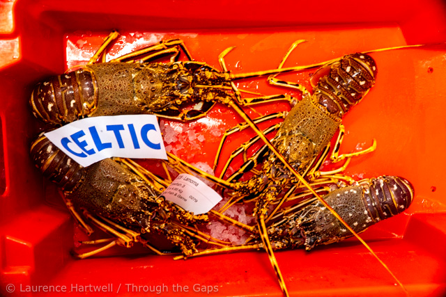 Through the Gaps! - Newlyn Fishing News: Fine rain heralds in # ...
