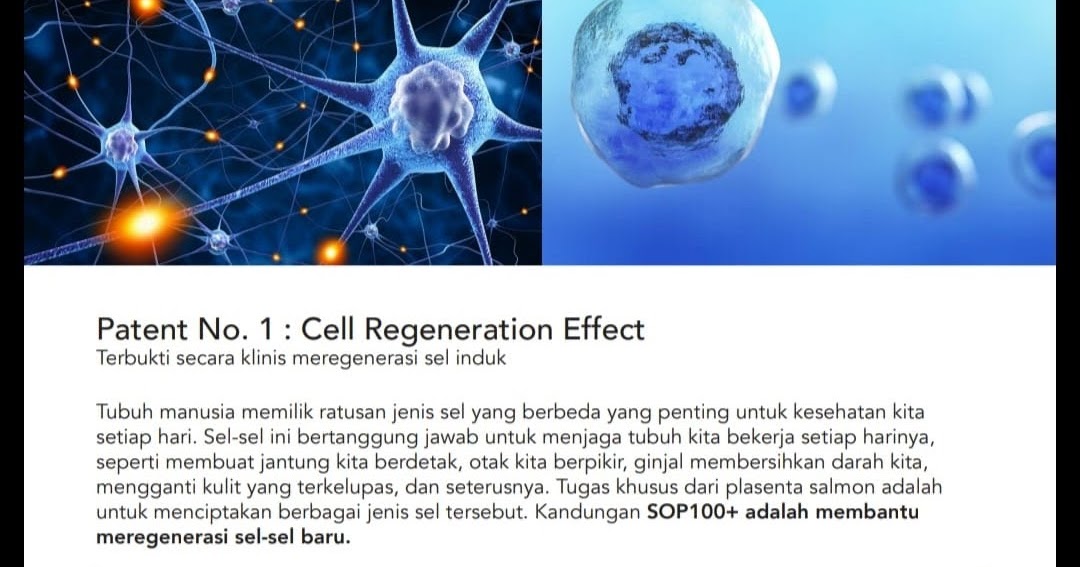 APA PATENT DAN FUNGSI SOP SUBARASHI - BISNIS AFC RAMSINA - Perusahan ...