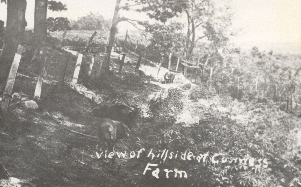 FOTOS DO CASO BELLE GUNNESS