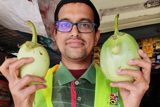 Mattu Gulla Brinjal-Udupi's GI Tagged product - eNidhi India Travel Blog