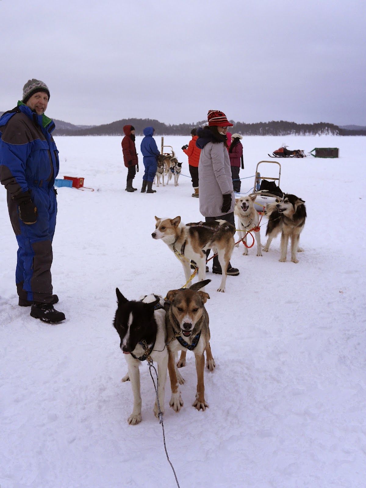 Jamie: Husky Dog Sledding in Finland