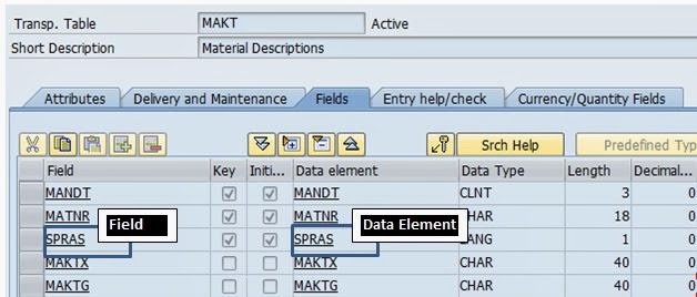 SAP Knowlage: Conversion Routines in SAP