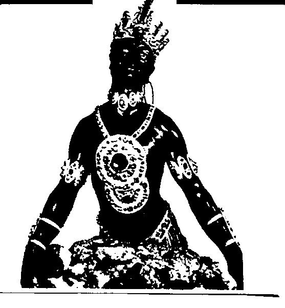 RECETA EVOLUCION CON SHANGO