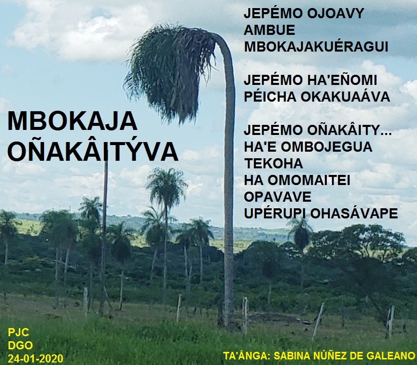 lenguaguarani: MBOKAJA