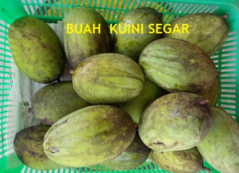 Anim Agro Technology: BUAH KUINI - SATU FAKTA