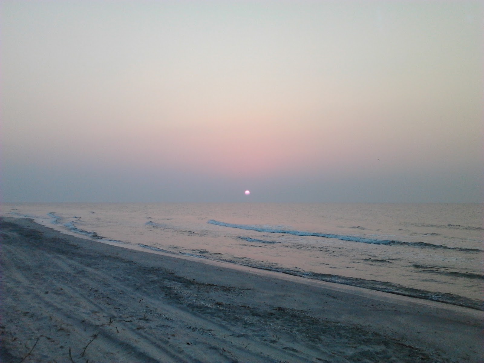 Grindul Chituc - wild wetland