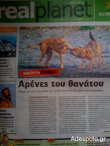 ΜΗΝ ΓΥΡΝΑΣ ΤΟ ΒΛΕΜΜΑ: ΚΥΝΟΜΑΧΙΕΣ ΣΤΗΝ ΑΤΤΙΚΗ