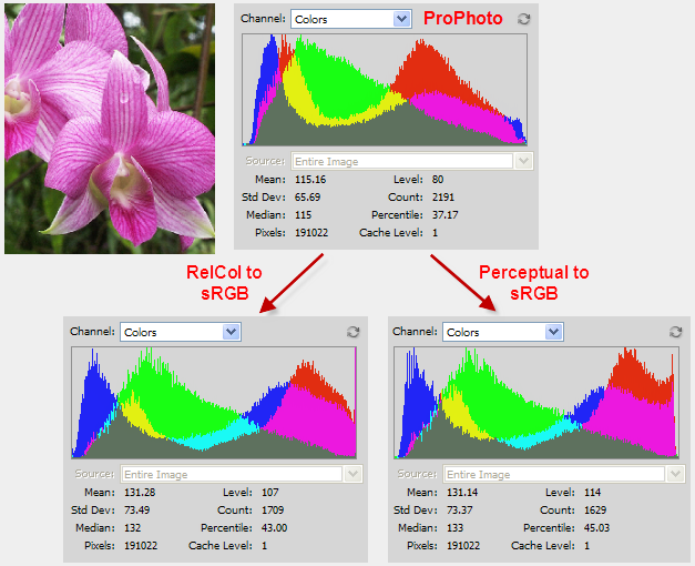 ProPhoto to sRGB color space conversion with Perceptual Rendering ...