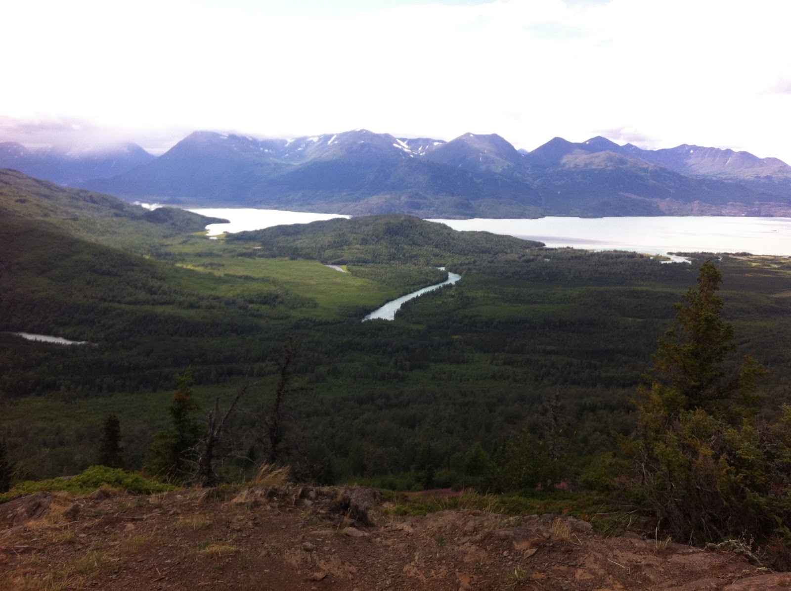 Life in Alaska — A View From Homer: Skyline-Bear Mountain-Hideout Trail ...