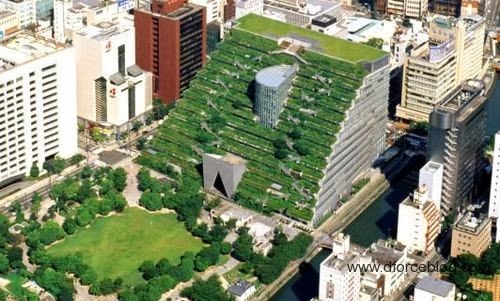 Paredes Verdes: TECHOS VERDES