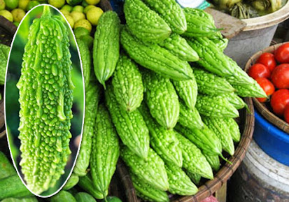 Mengenal Manfaat (Khasiat) dari Buah Pare Untuk Kesehatan