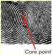 CBSE- Informatics Practices (IP) : 2019
