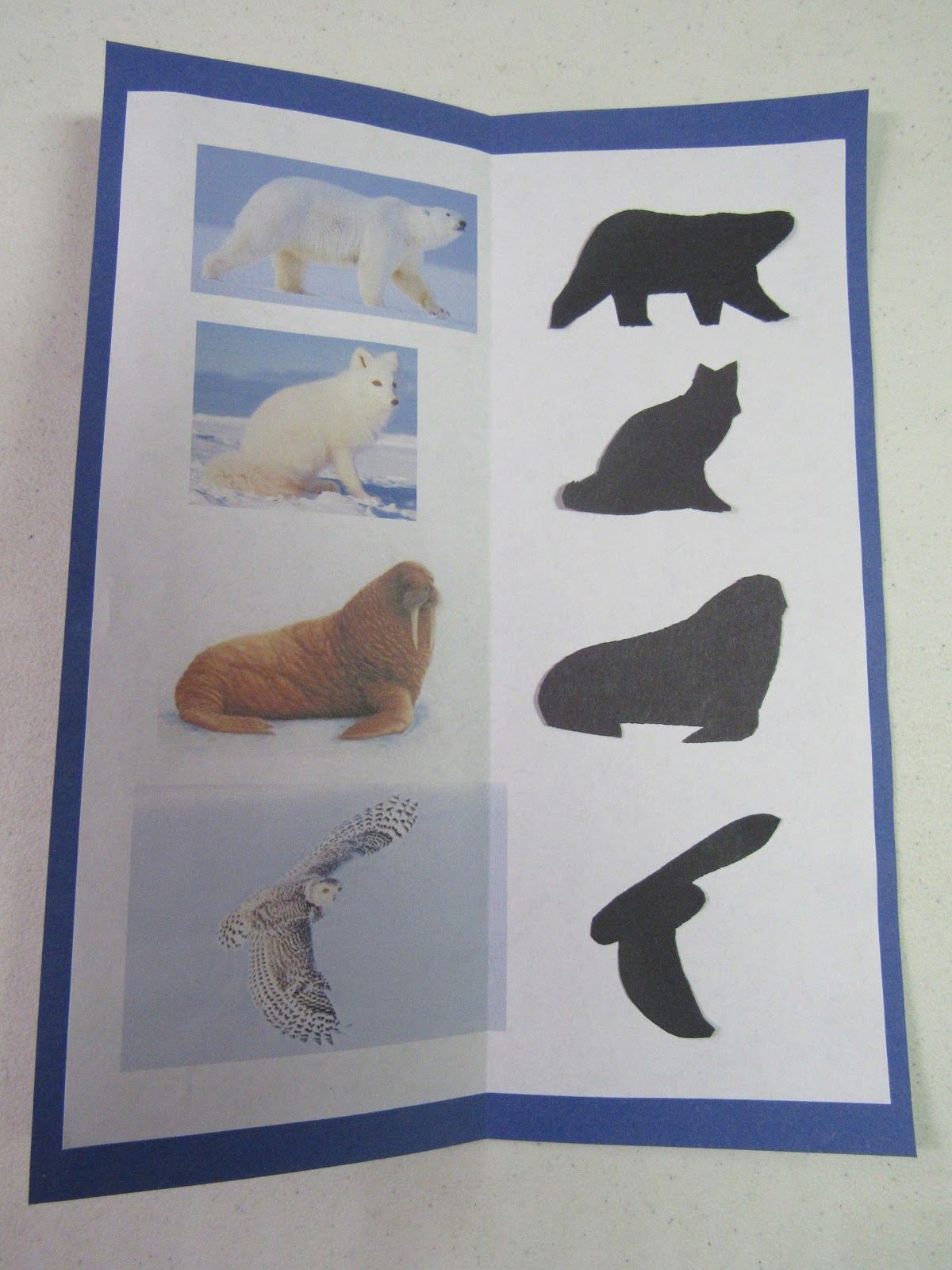 Tots and Me... Growing Up Together: Arctic Animal Fun: Snowy Owl Lesson