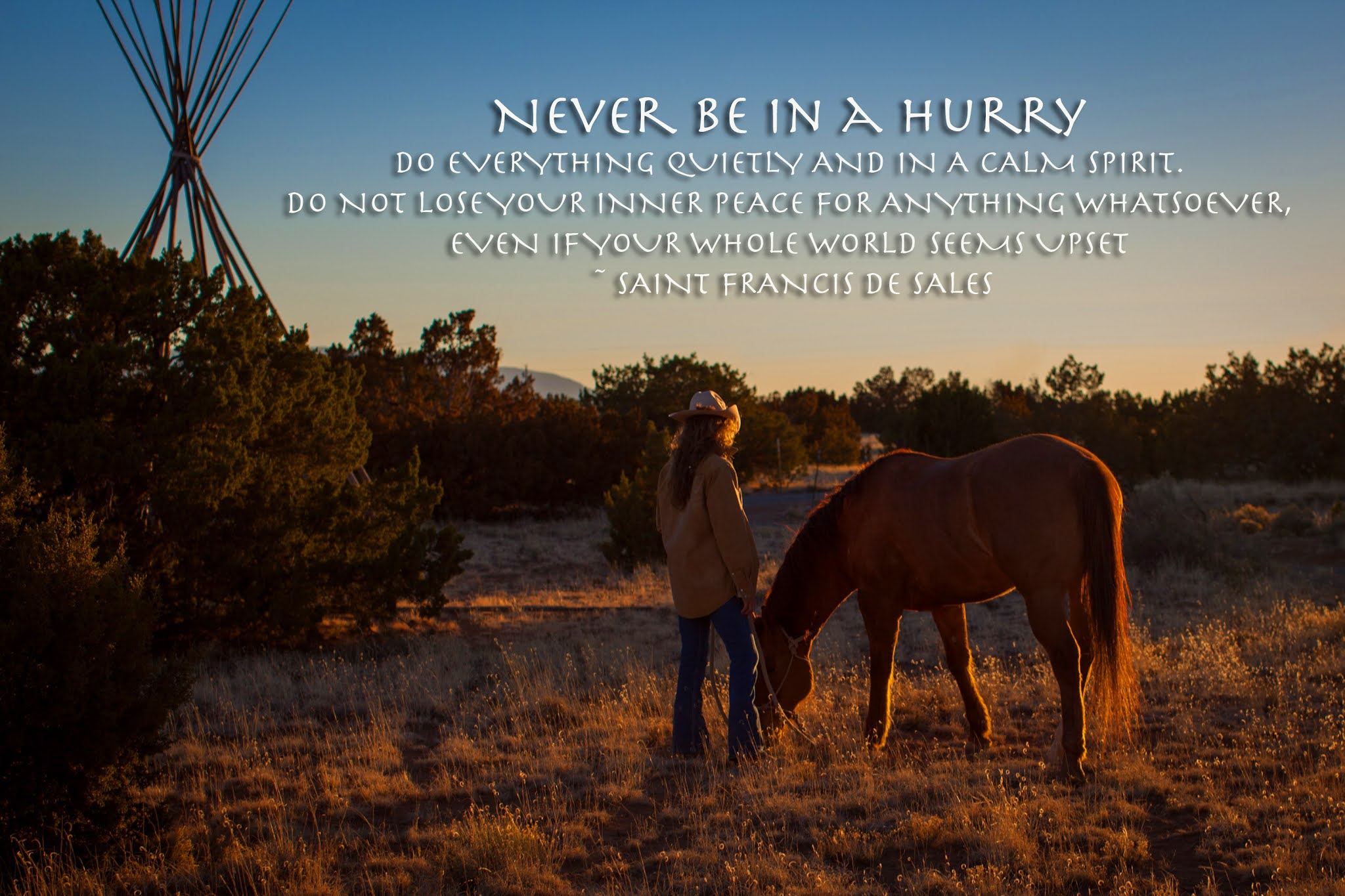HORSES FOR HEROES New Mexico - Cowboy Up! 505-798-2535