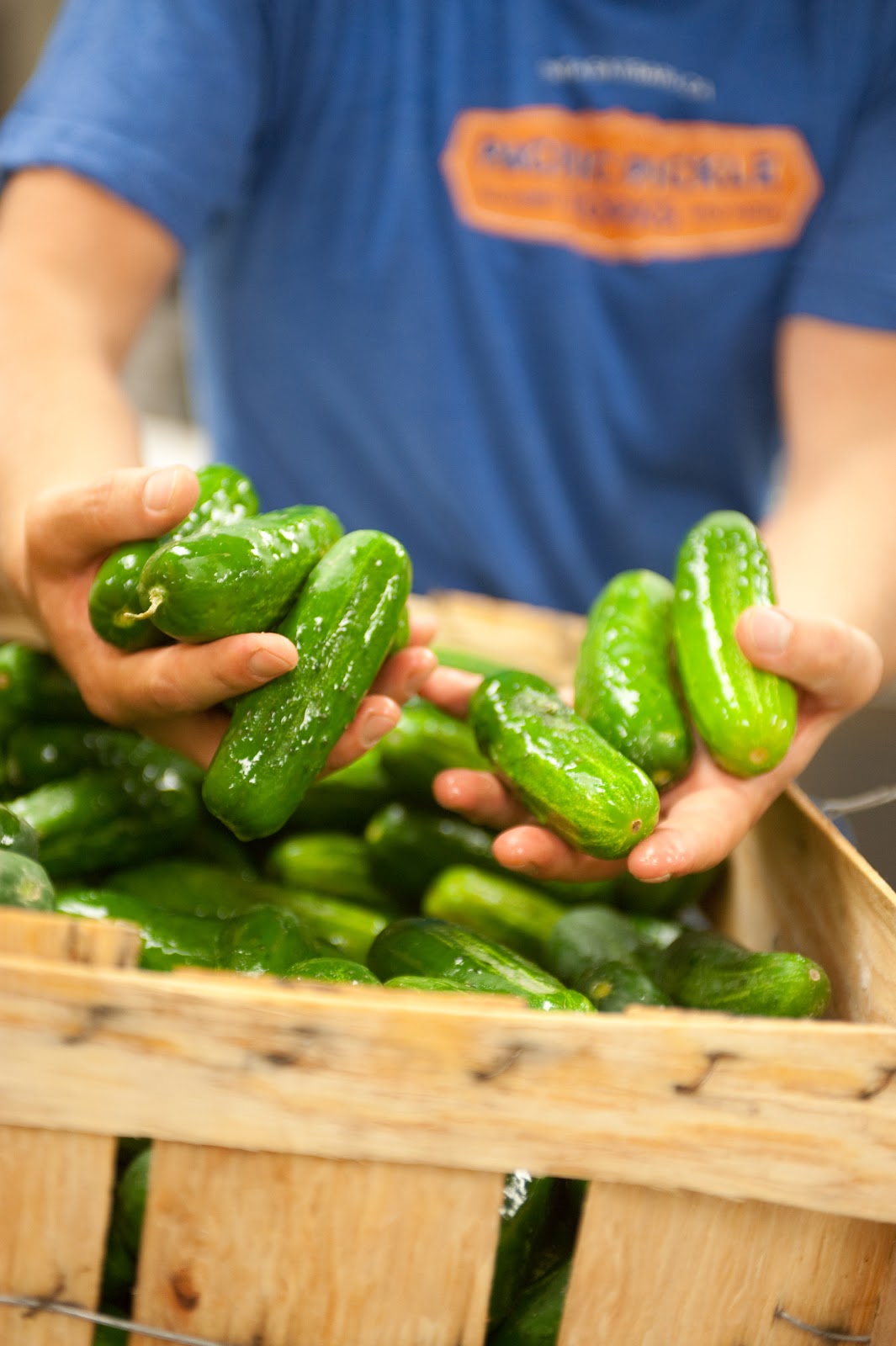 Southern Belle in Santa Barbara: Holiday Gifts: In a Pickle?