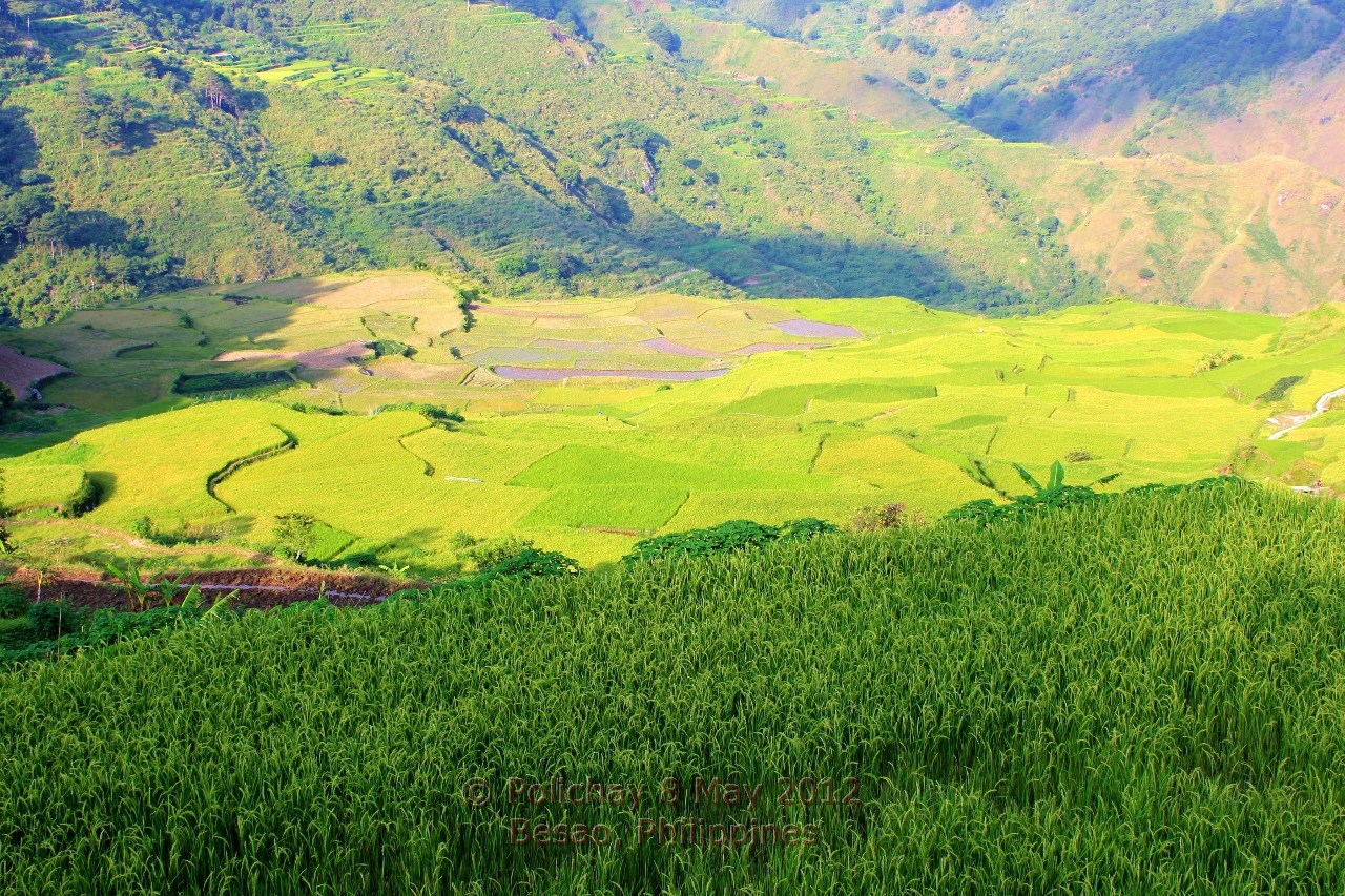 An Igorot Journey: Images of Besao