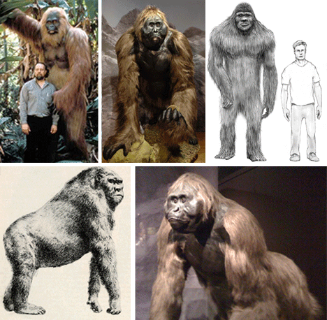 MUY INTERESANTE SPAIN: GIGANTOPITHECUS,EL MONO MÁS GRANDE DE TODA LA ...