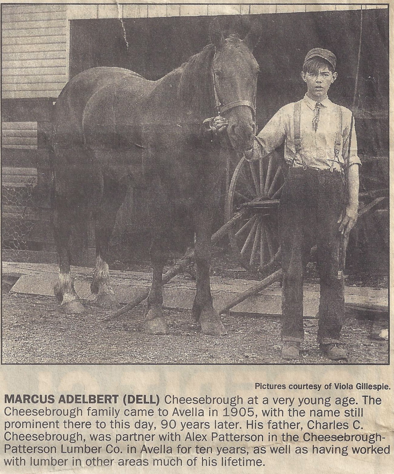 The Charles Carey Cheesebrough Family