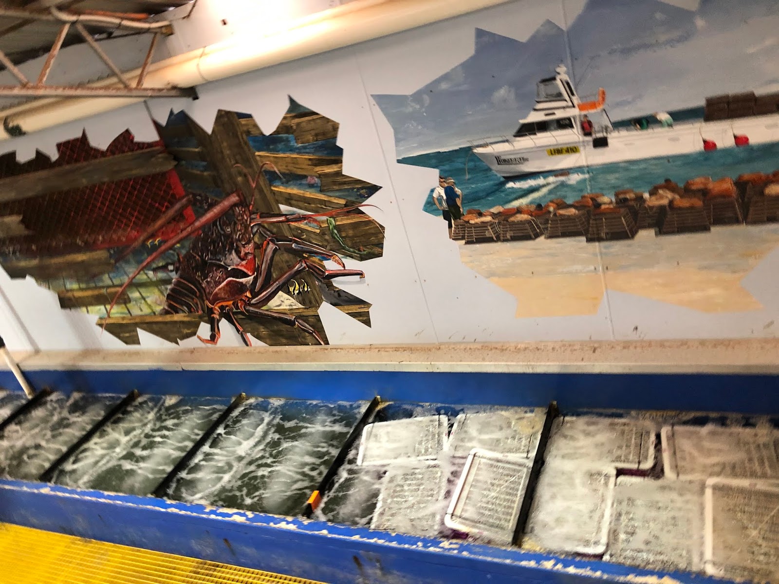 Helen's Kitchen: 西澳粉紅湖八天之旅 (16-23/11/2019) - Lobster Shack, Blue House ...