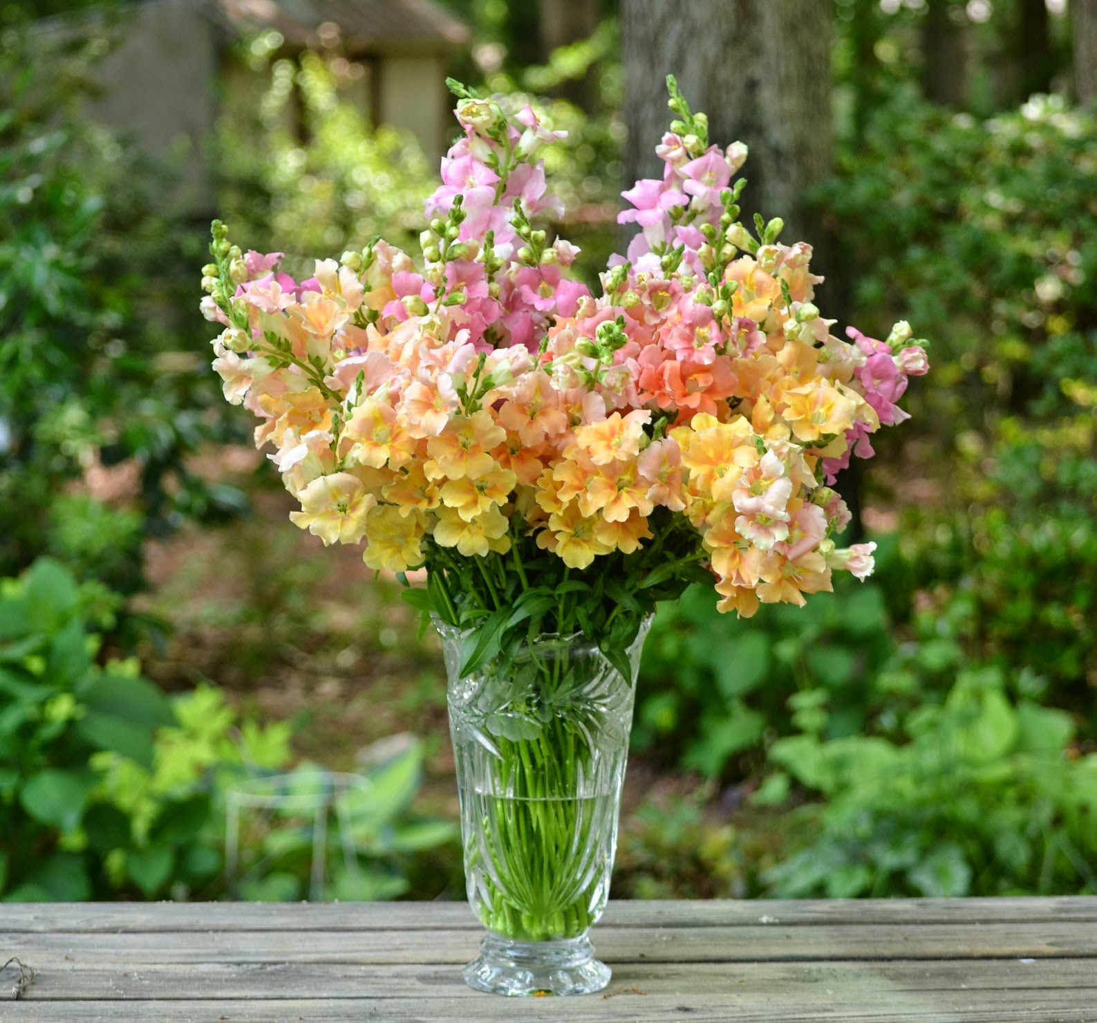 Wedding Flowers from Springwell: Garden Flowers for Spring and Summer ...