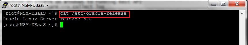 Netsoftmate Technical Blog : Oracle DBCS : Installing Operating System ...
