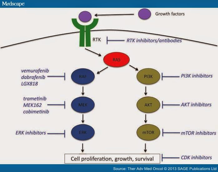Chaotically Precise: Life, Love, and Melanoma: ASCO 2017: ERK inhibitor ...