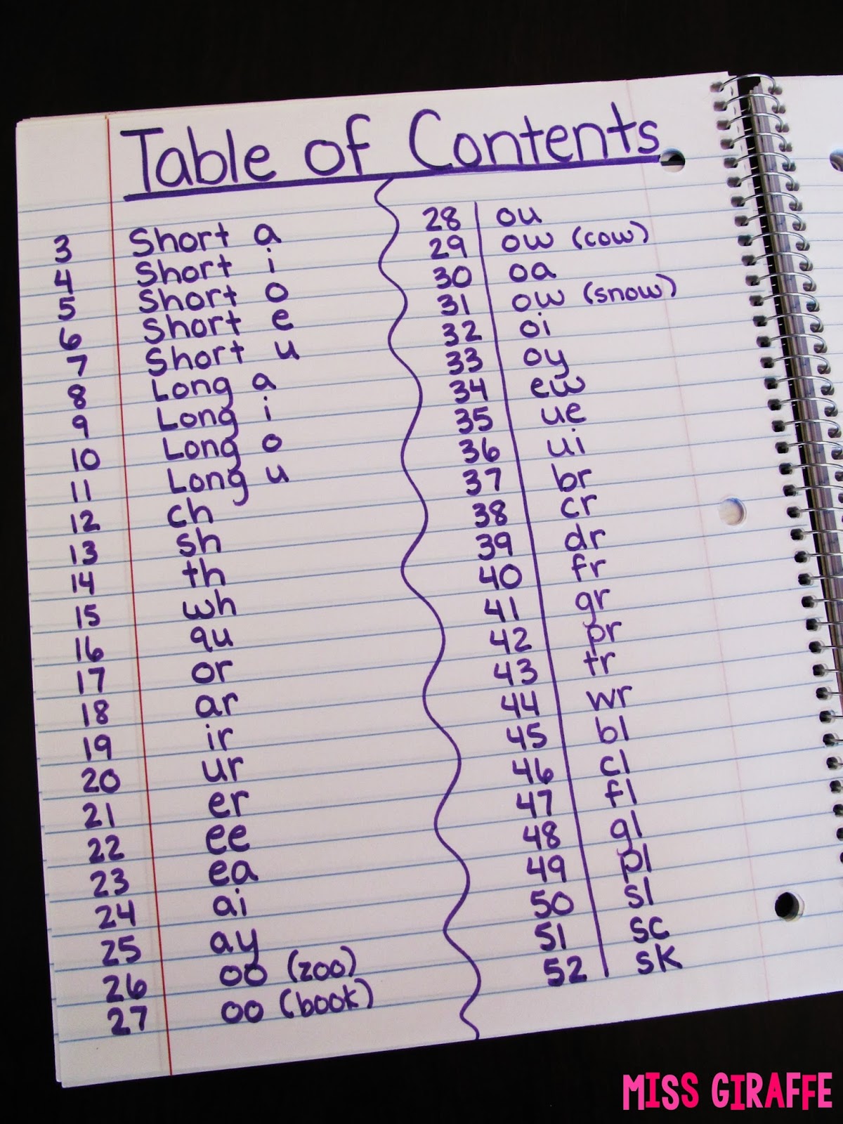 Miss Giraffe's Class: Phonics Fluency Notebooks