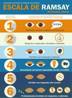 escala de rass - wood scribd braxin