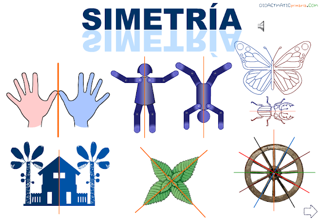 EL DESCONTROL : 2019