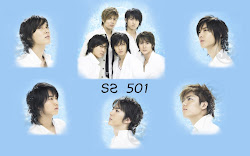 SS501: History