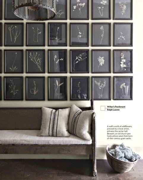 bricolage: Botanicals ~ A Modern Approach to Display