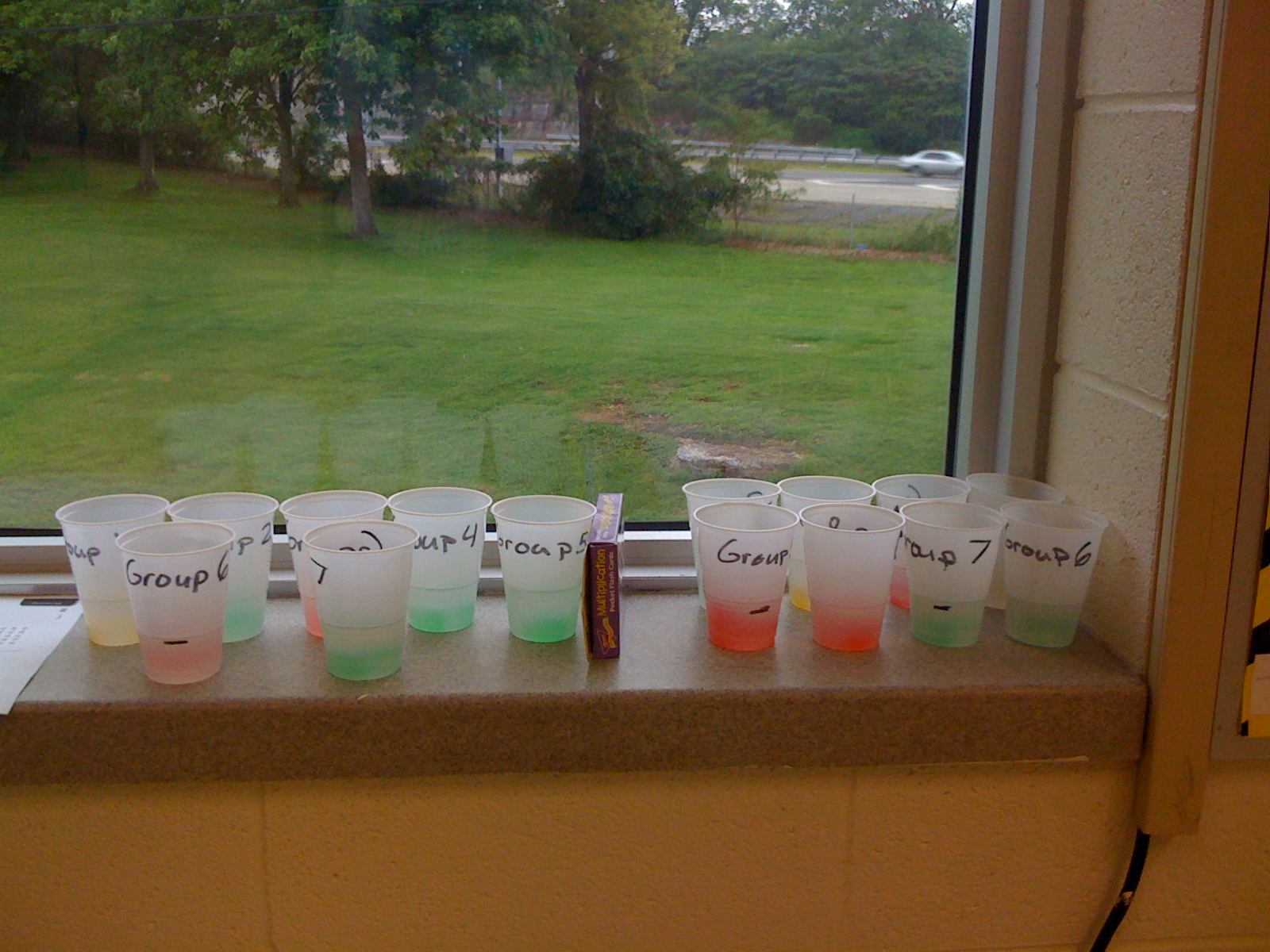 ms-young-s-class-scientific-method