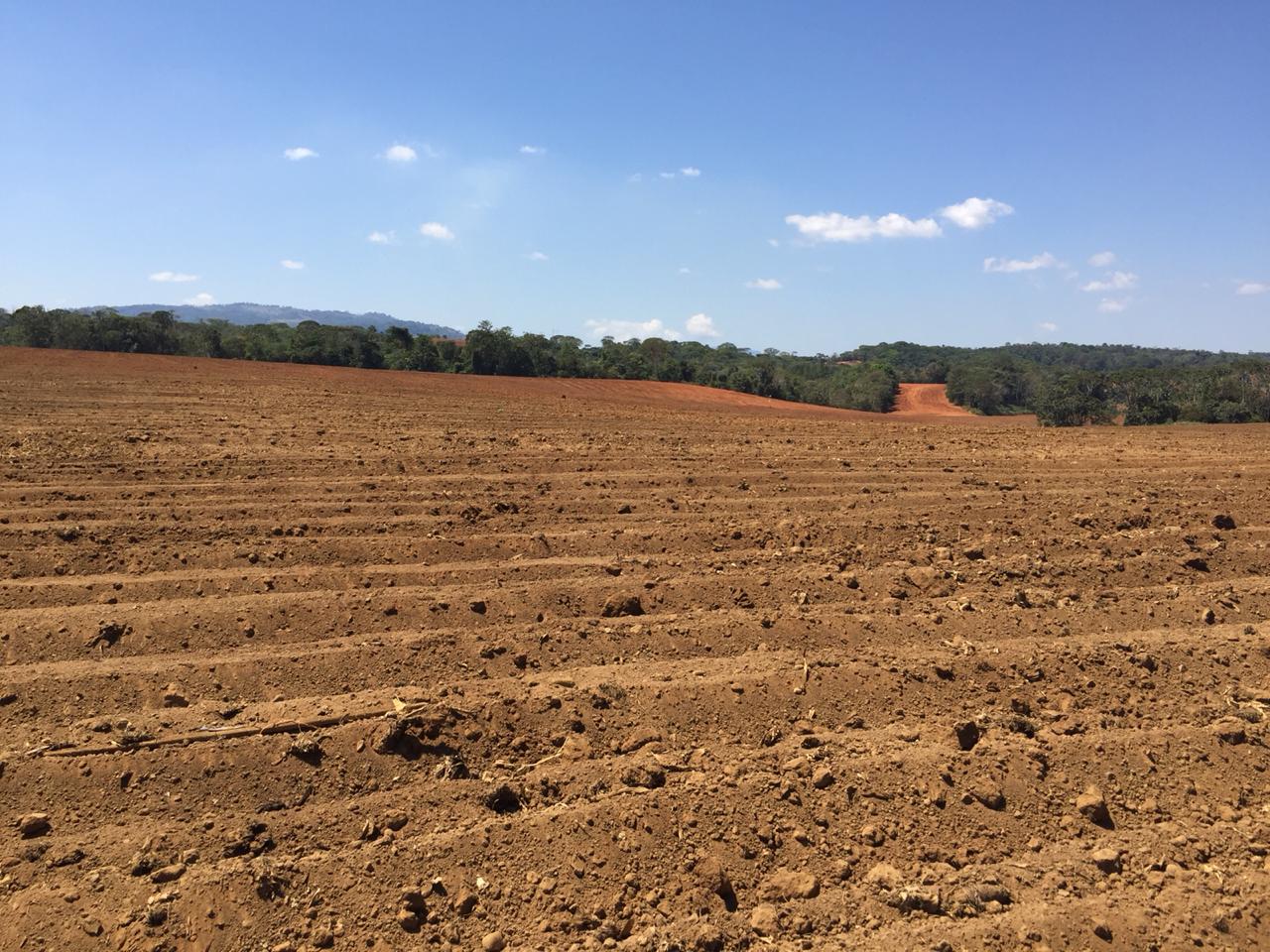 Cuenca del Rio Térraba