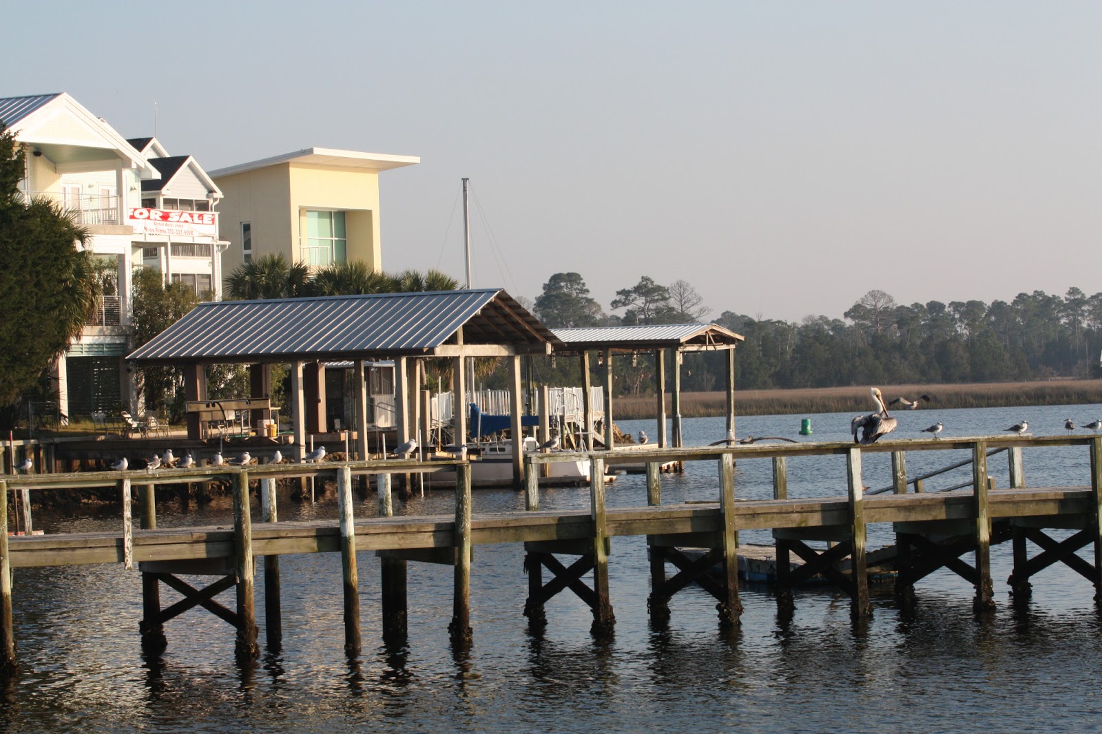 Sweet Southern Days: A Place Called Steinhatchee, Florida