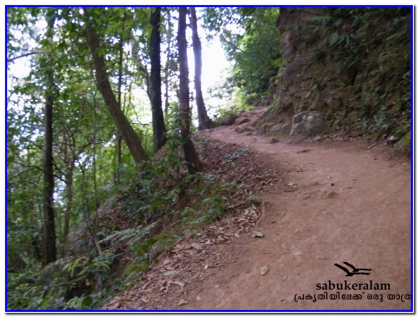 പ്രകൃതിയിലേക്ക് ഒരു യാത്ര (a travel towards NATURE): PULLUMEDU a unique ...