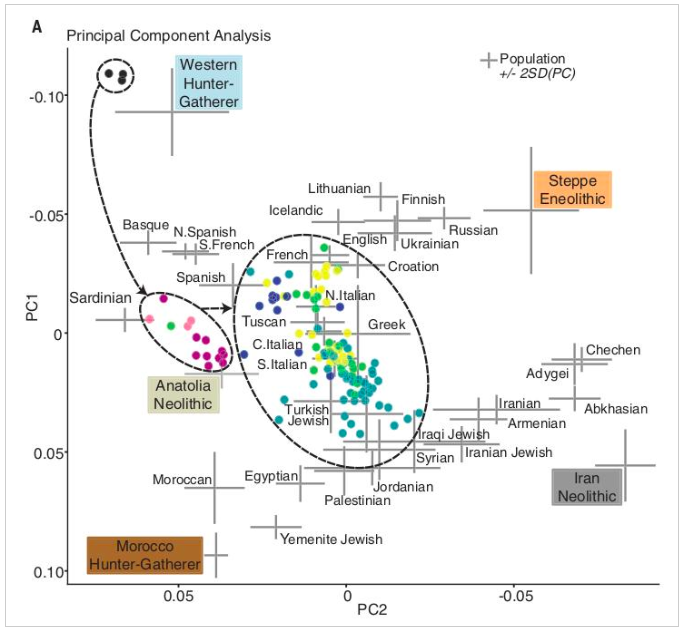 Dispatches From Turtle Island: Ancient Roman DNA
