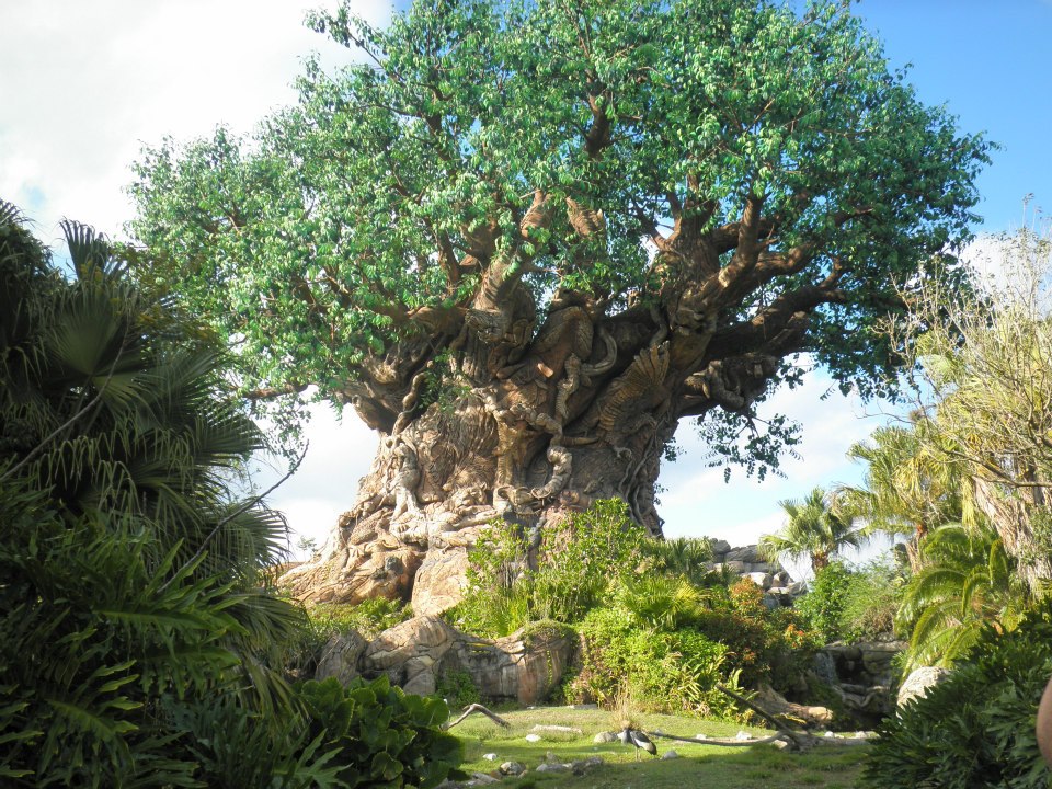 A árvore da vida em Walt Disney World - História Com Fotos