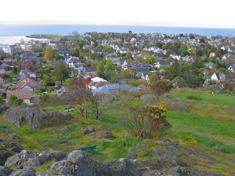 The Fog Rolled In: Mountains of Victoria, Part1: Moss Rock Park