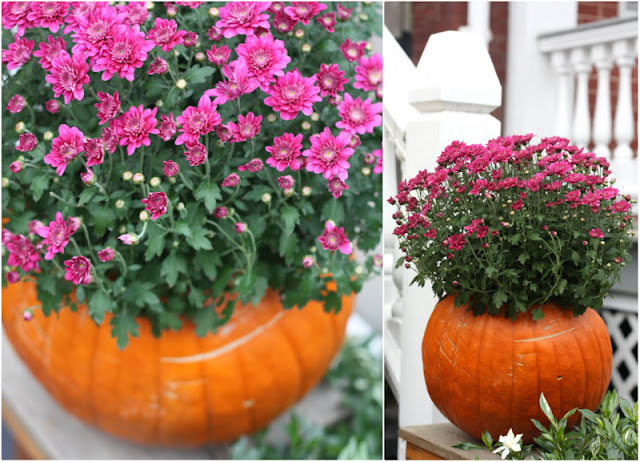 How To: Fall Pumpkin Planters | 17 Apart